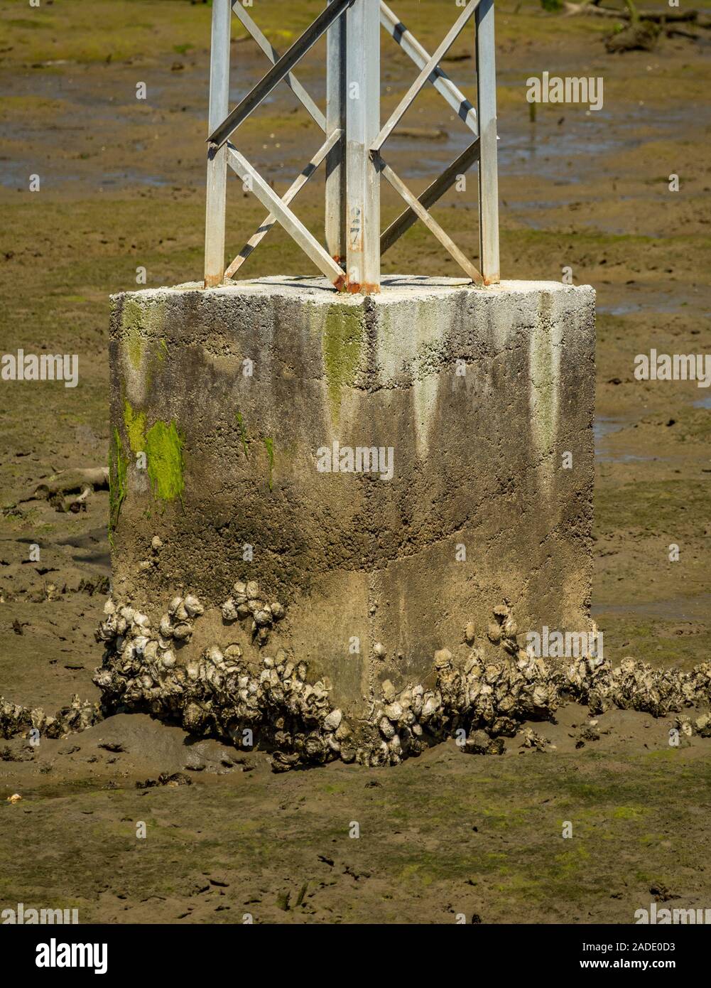 Dirty shells hi-res stock photography and images - Alamy