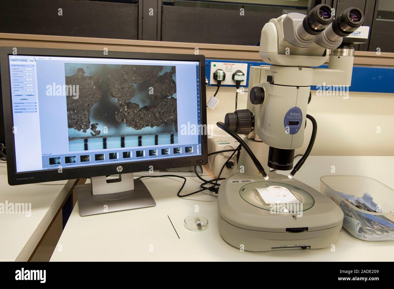 Light microscopy during geoforensic analysis of a soil sample from a ...