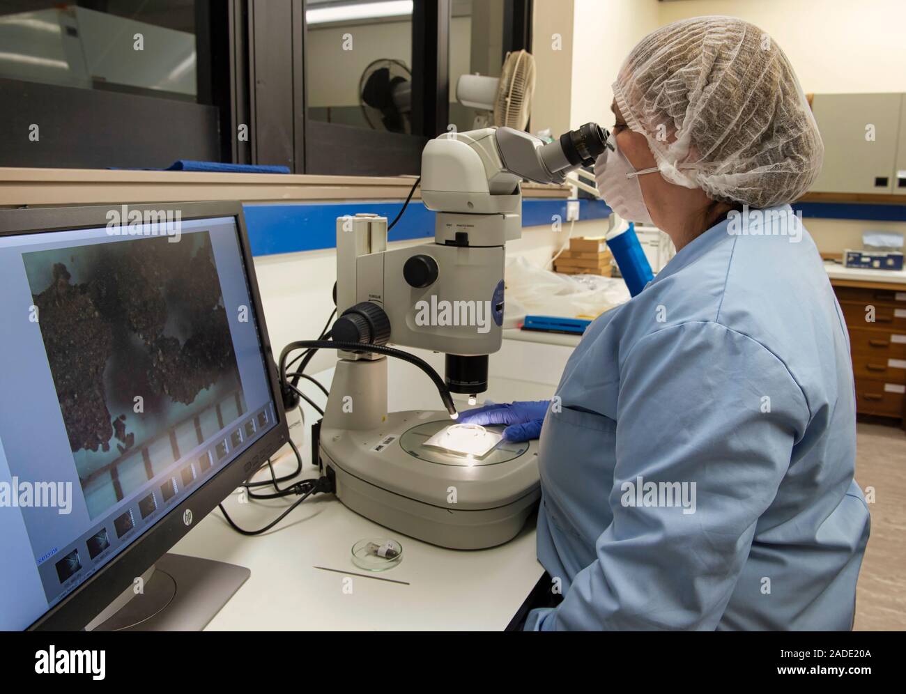Technician using a light microscope during geoforensic analysis of a ...