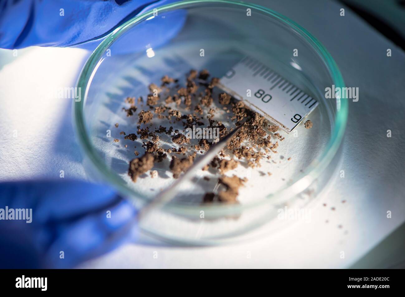 Technician using a light microscope during geoforensic analysis of a ...