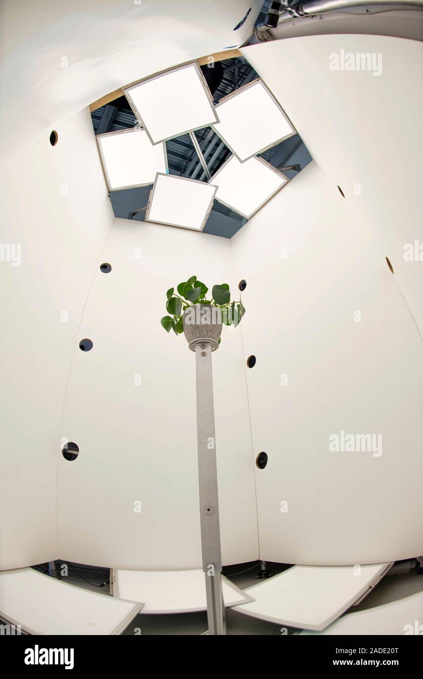 Multi camera setup used to capture a detailed 3D image of a plant. This ...