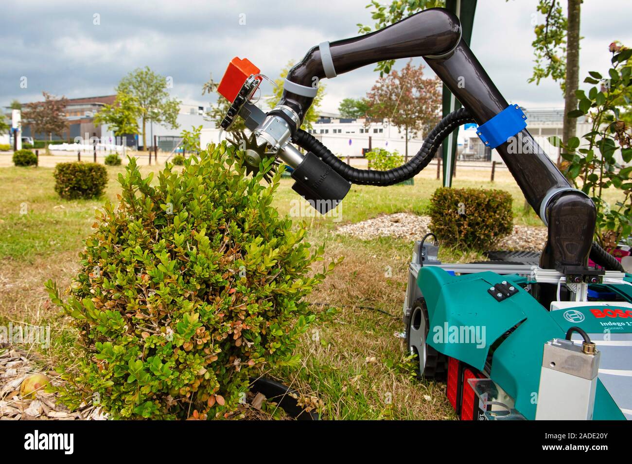 Trimbot, a prototype gardening robot for rose, hedge and boxwood ...