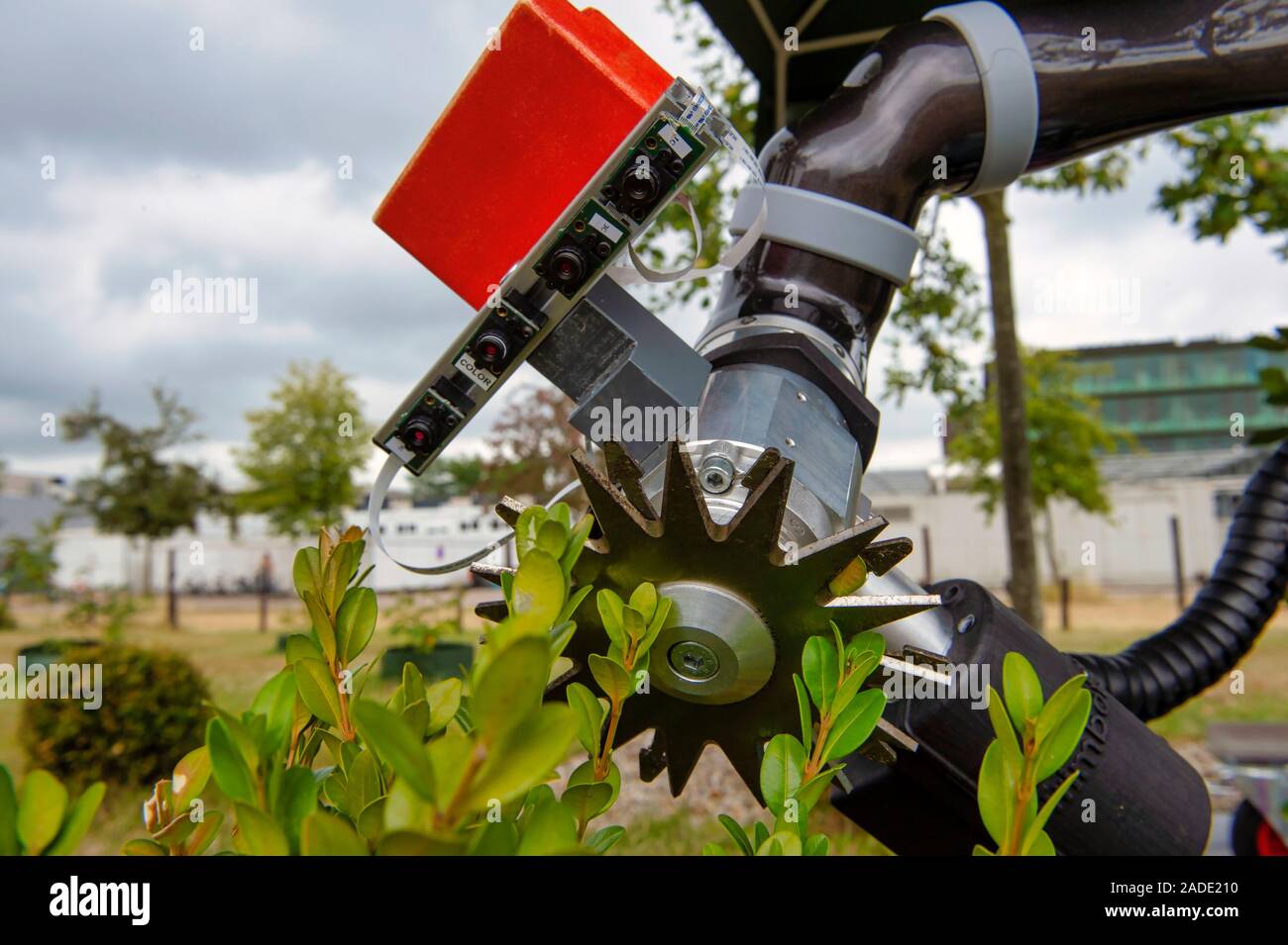 Trimbot, a prototype gardening robot for rose, hedge and boxwood ...
