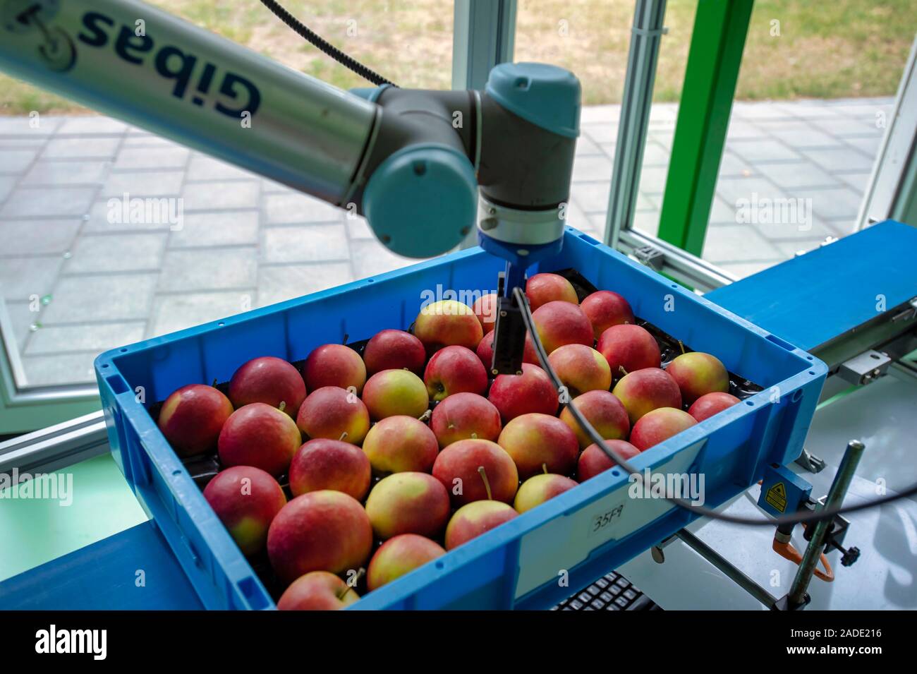 Prototype robot for non destructive automated quality control of fruits ...
