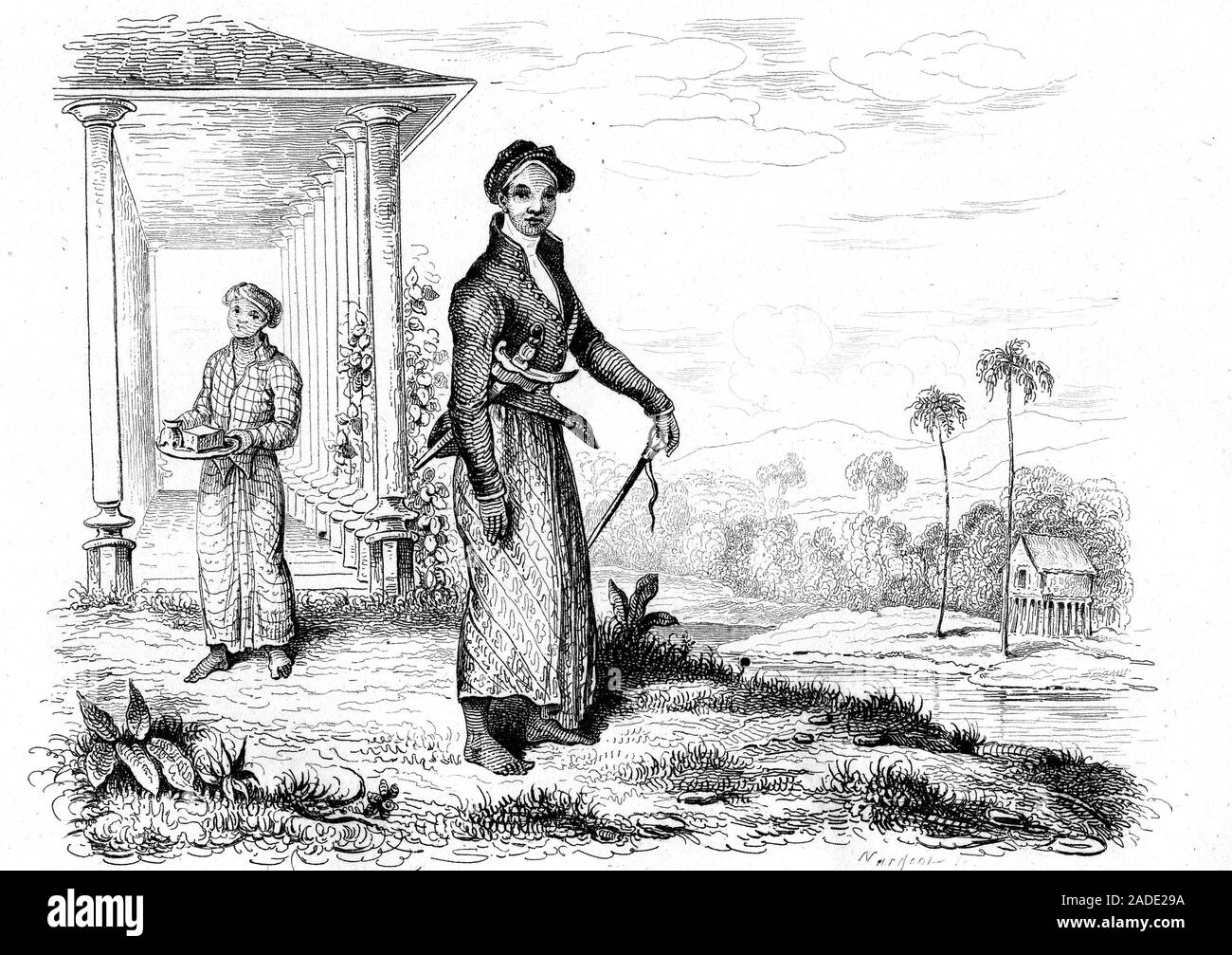 19th Century Java tribal Chief. 1835 illustration of a tribal chief ...