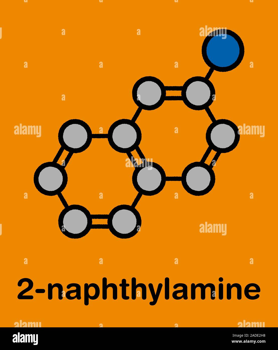 2-naphthylamine carcinogen molecule. Sources include cigarette smoke. May play a role in ...