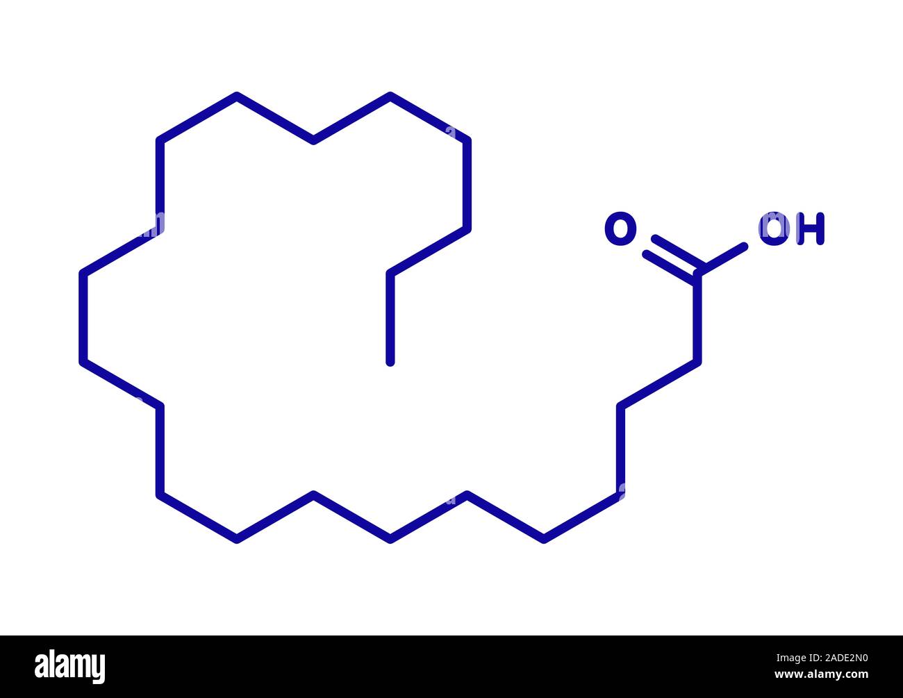 Behenic acid (docosanoic acid) saturated fatty acid molecule. Blue ...