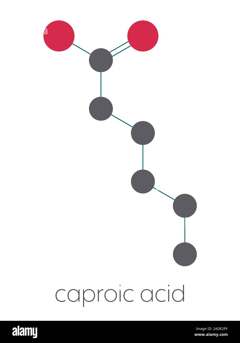 Caproic acid (hexanoic acid) fatty acid molecule. Salts and esters are ...