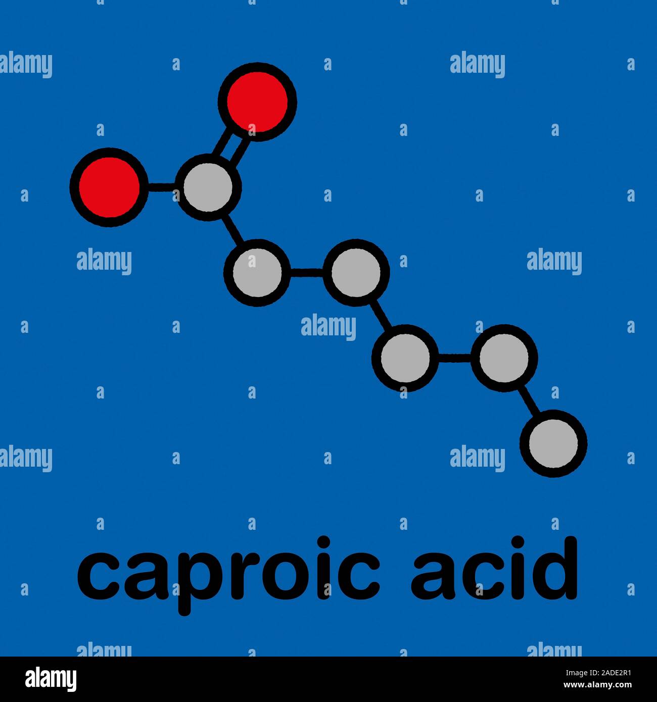 Caproic acid (hexanoic acid) fatty acid molecule. Salts and esters are ...