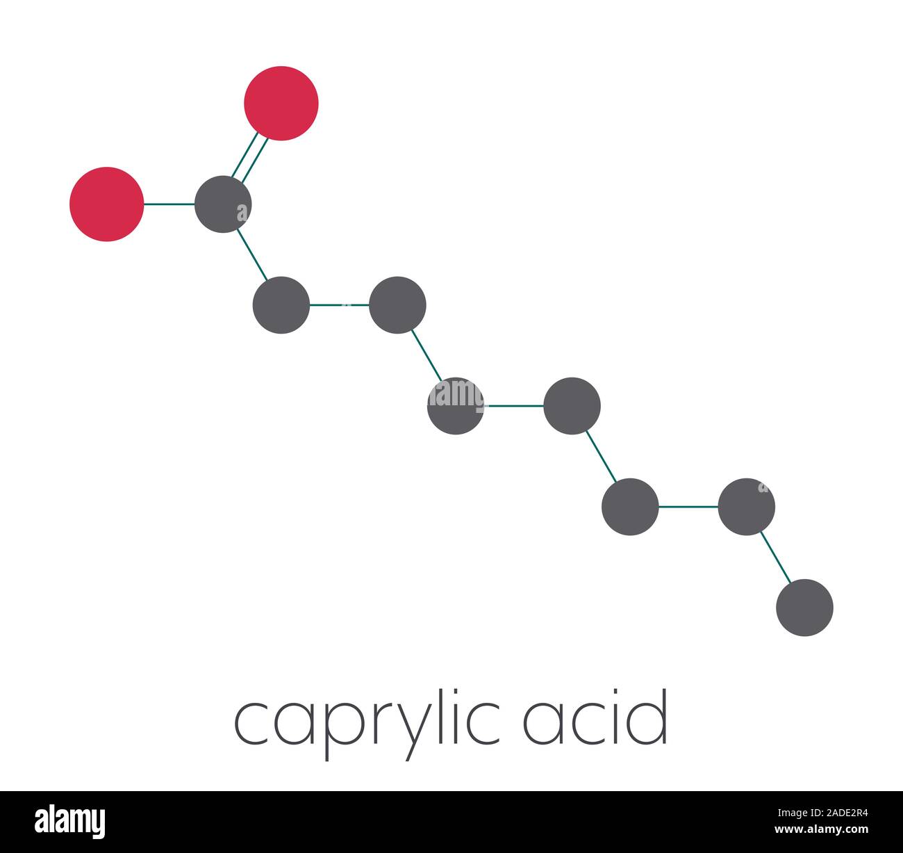 Caprylic (octanoic) acid molecule. Common saturated medium-chain fatty ...