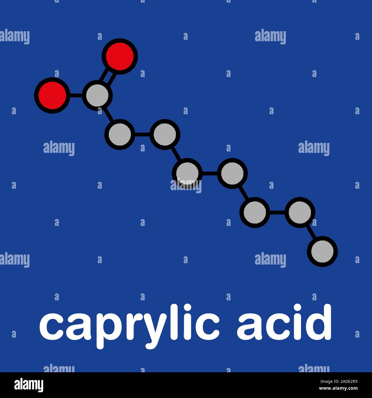 Caprylic Acid Structure