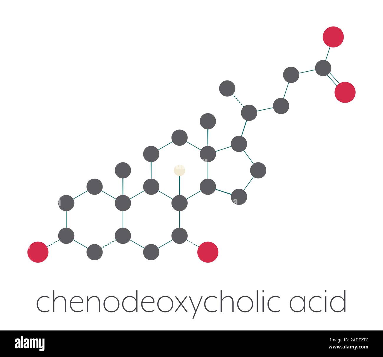 Chenodeoxycholic acid drug molecule. Stylized skeletal formula ...