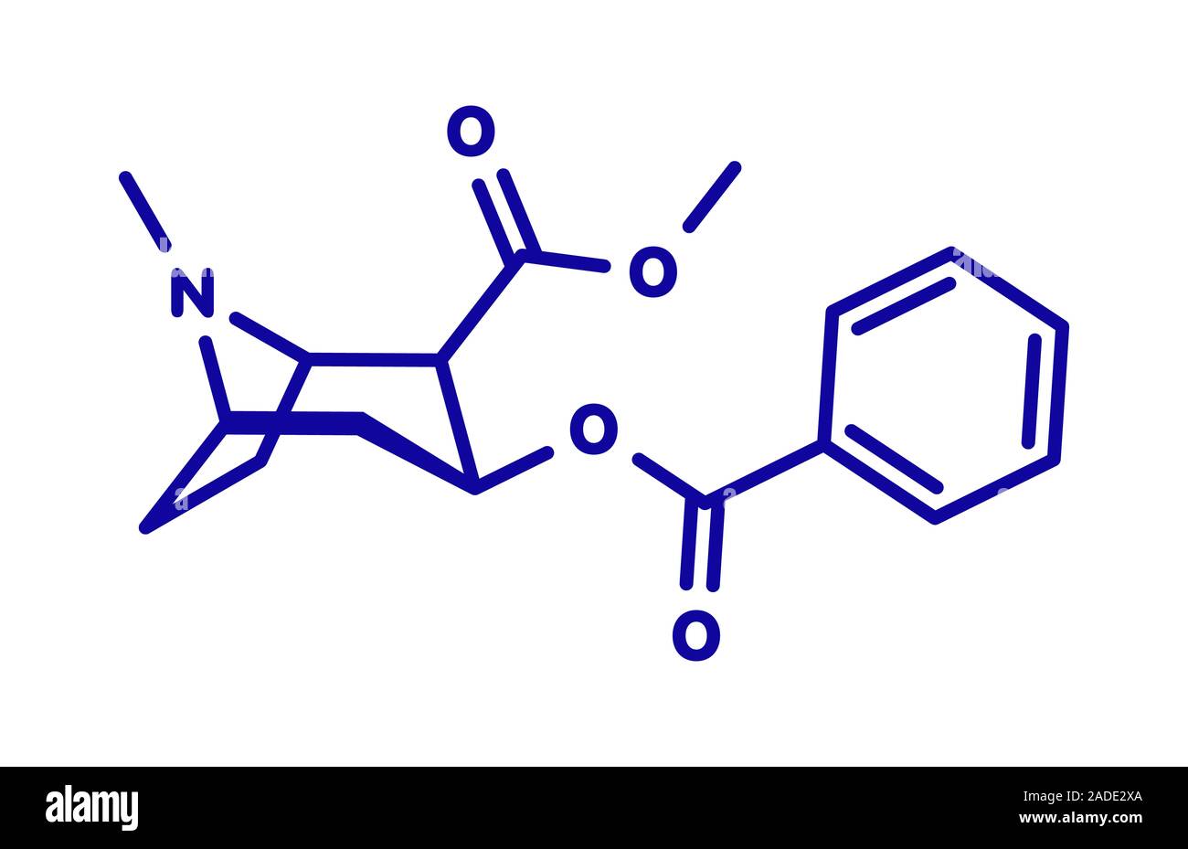 Cocaine stimulant drug molecule. Used as salt or as free base (crack ...