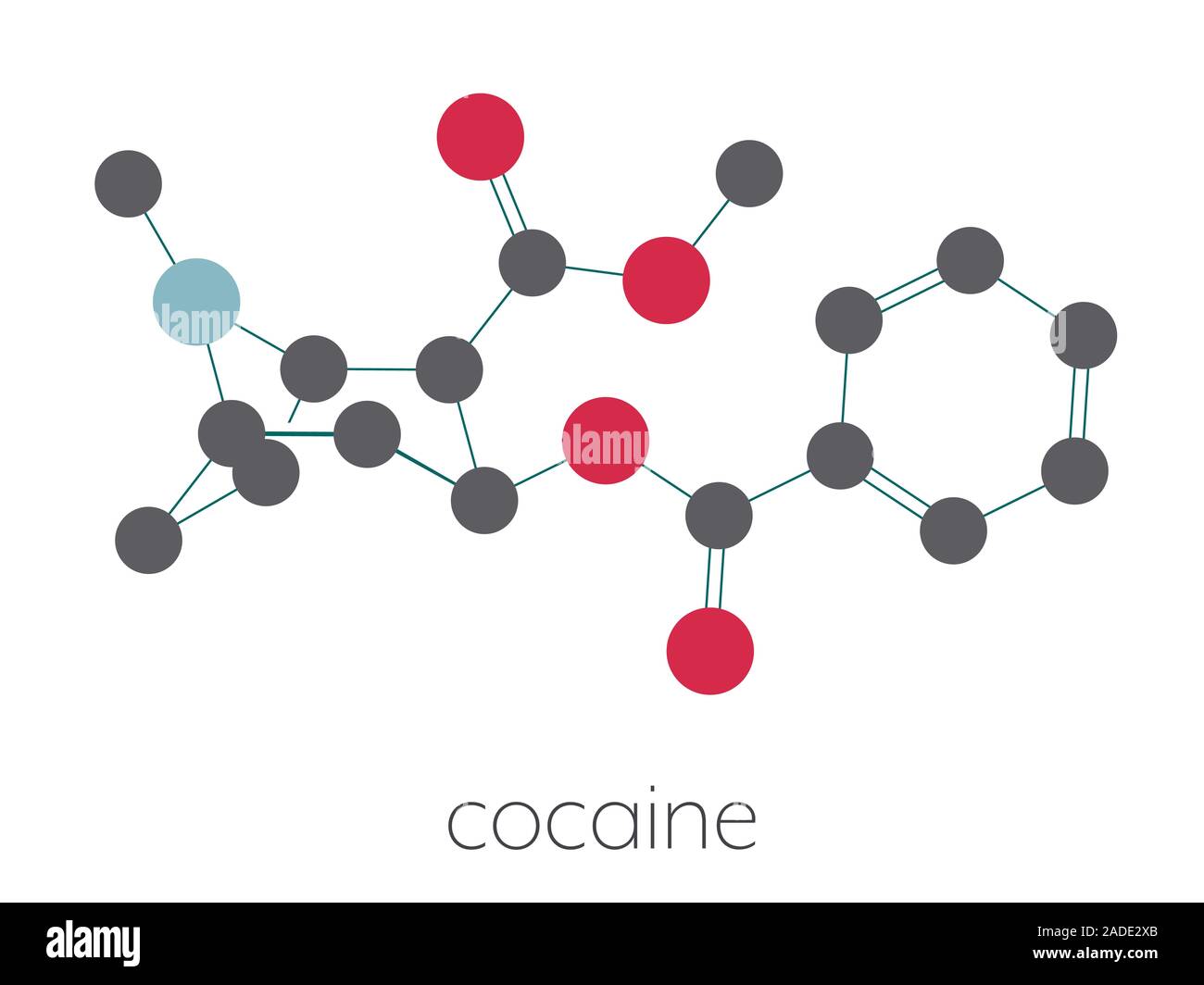 Cocaine stimulant drug molecule. Used as salt or as free base (crack ...