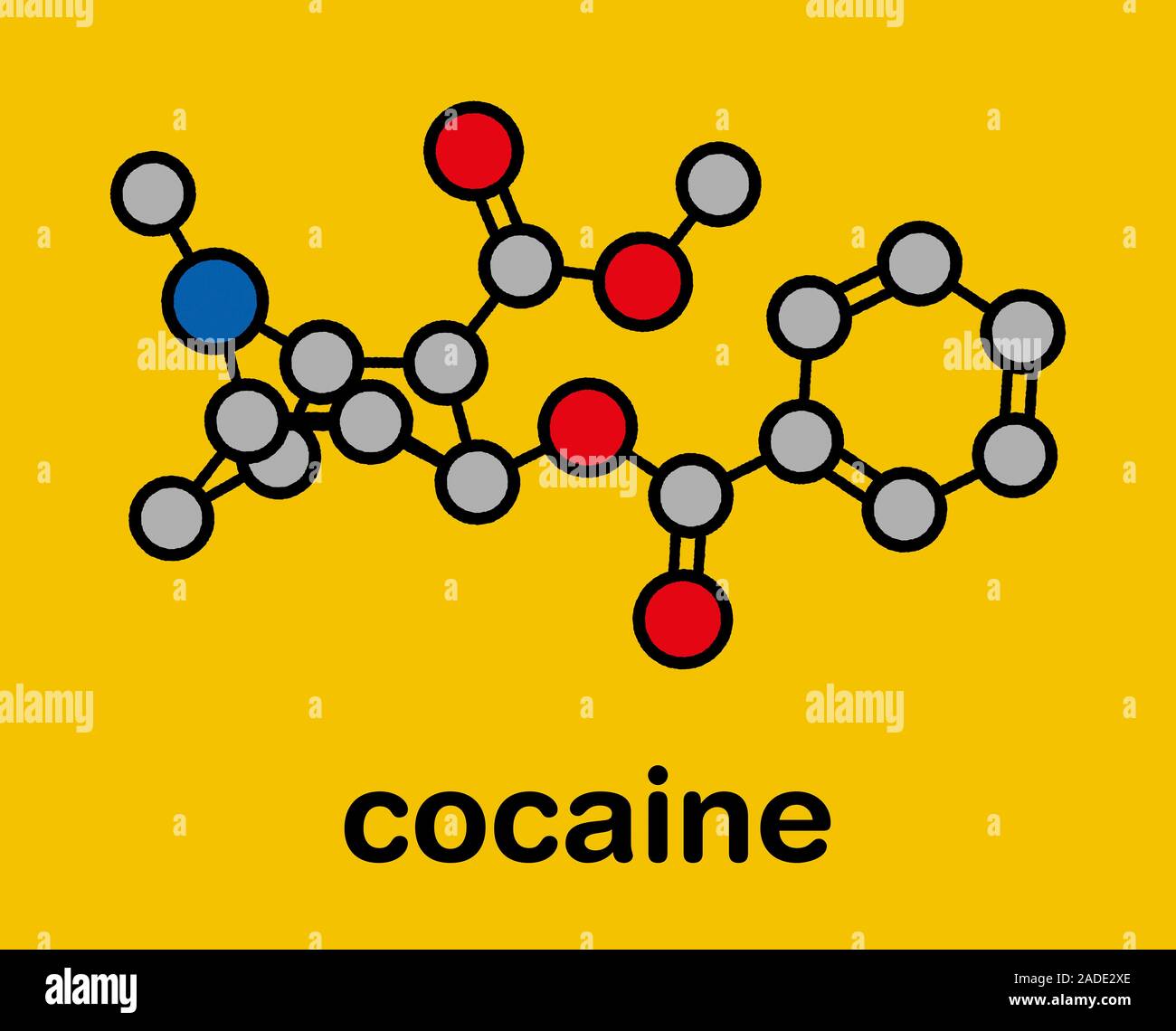 Cocaine stimulant drug molecule. Used as salt or as free base (crack ...