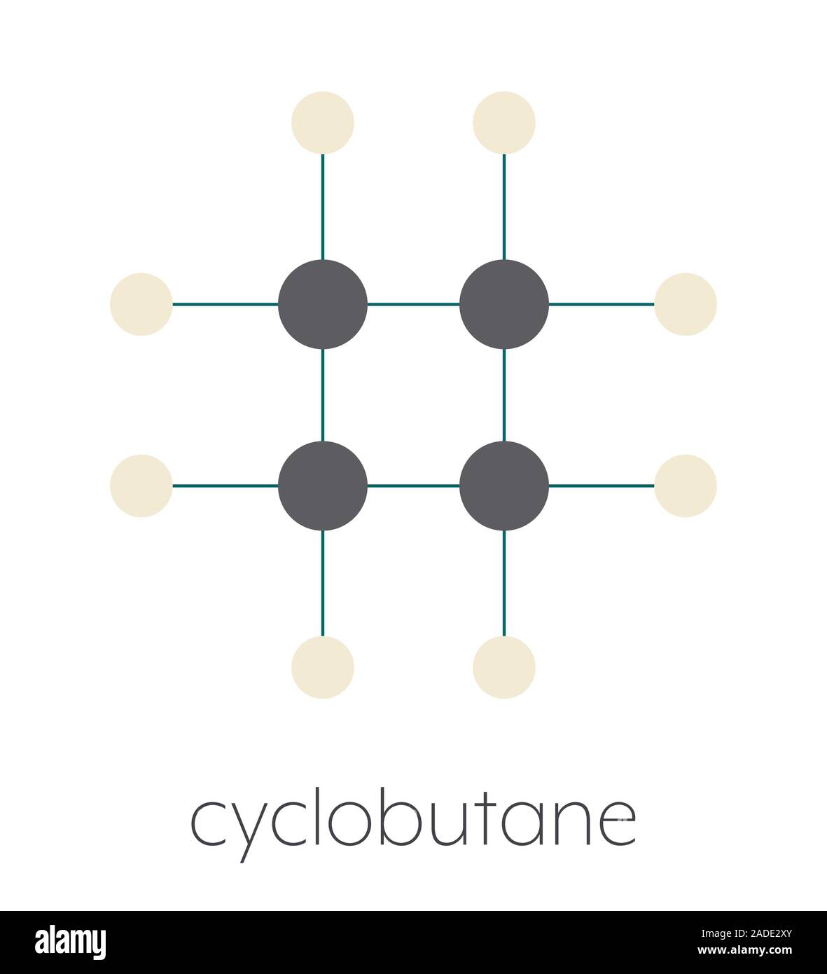 Cyclobutane cyclic alkane (cycloalkane) molecule. Stylized skeletal ...
