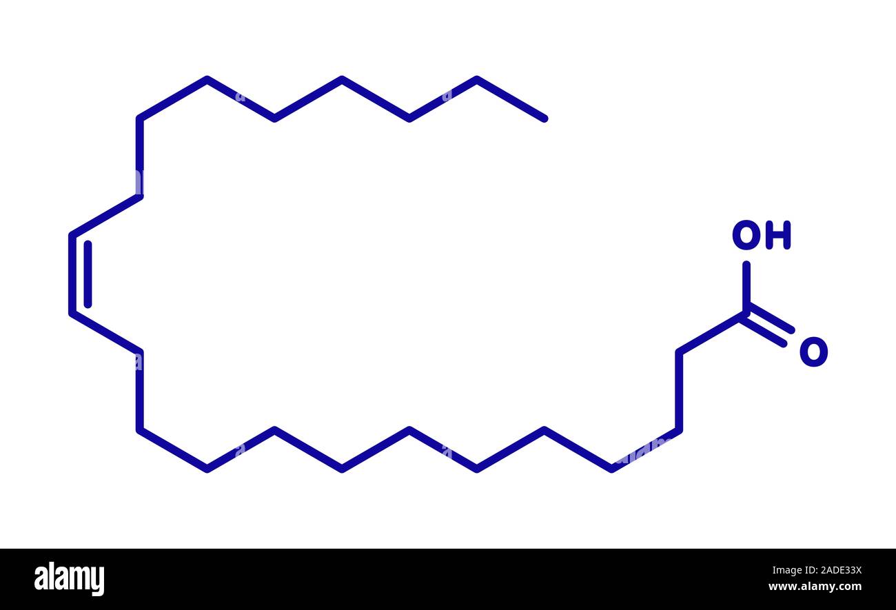 Erucic acid molecule. Monounsaturated omega-9 fatty acid found in some ...