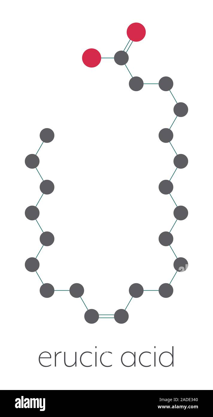 Erucic acid molecule. Monounsaturated omega-9 fatty acid found in some ...