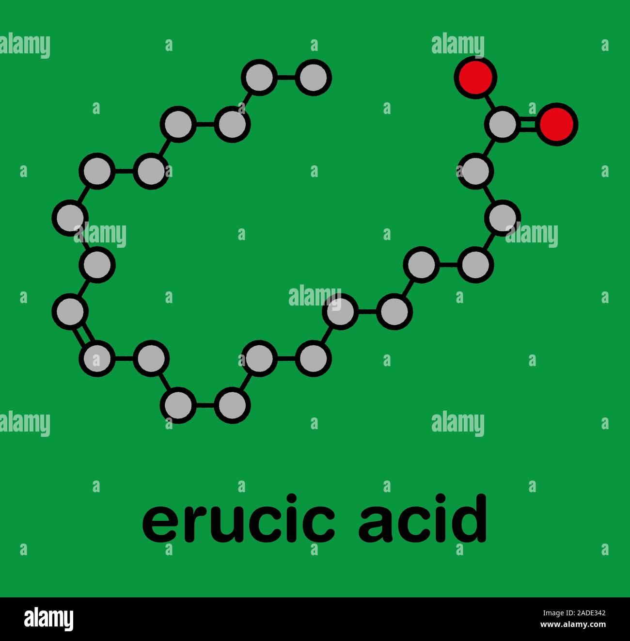 Erucic acid molecule. Monounsaturated omega-9 fatty acid found in some ...