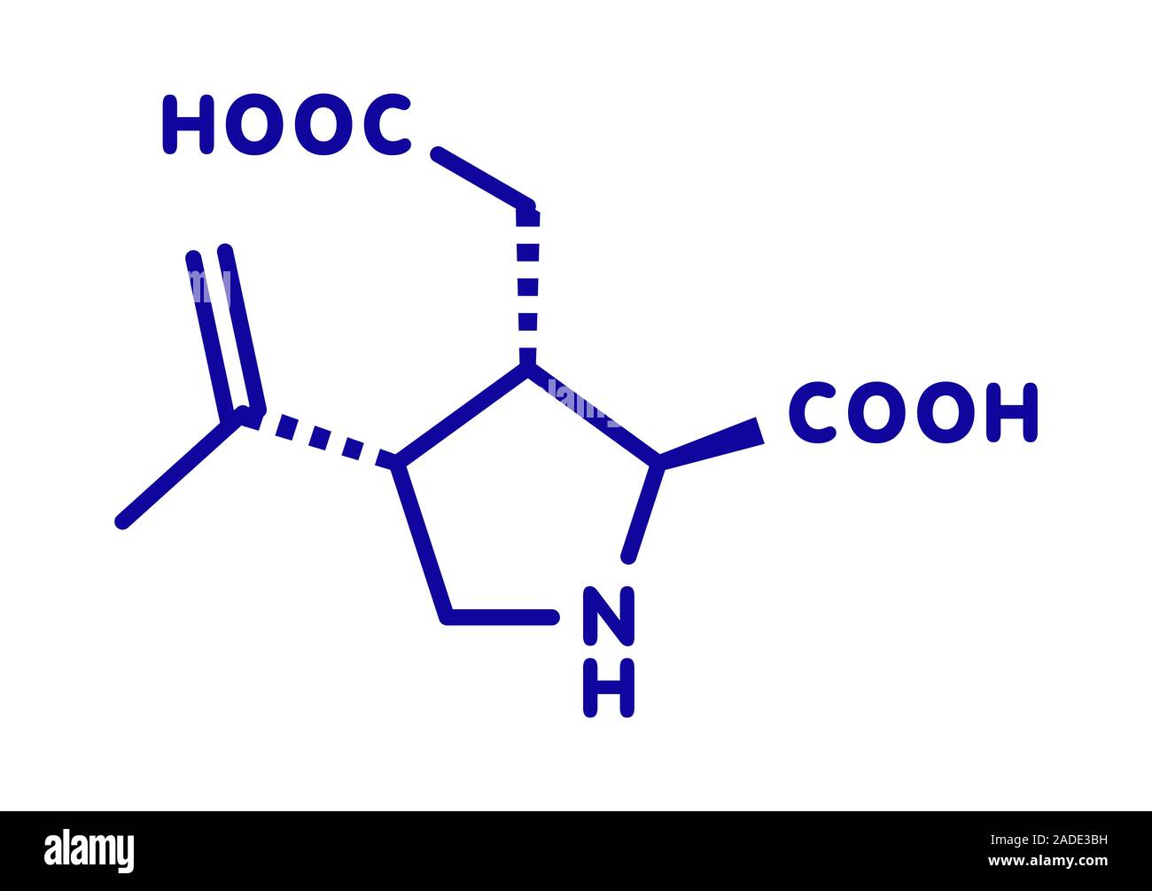 Kainic acid molecule. Direct agonist of the glutamic kainate receptors ...