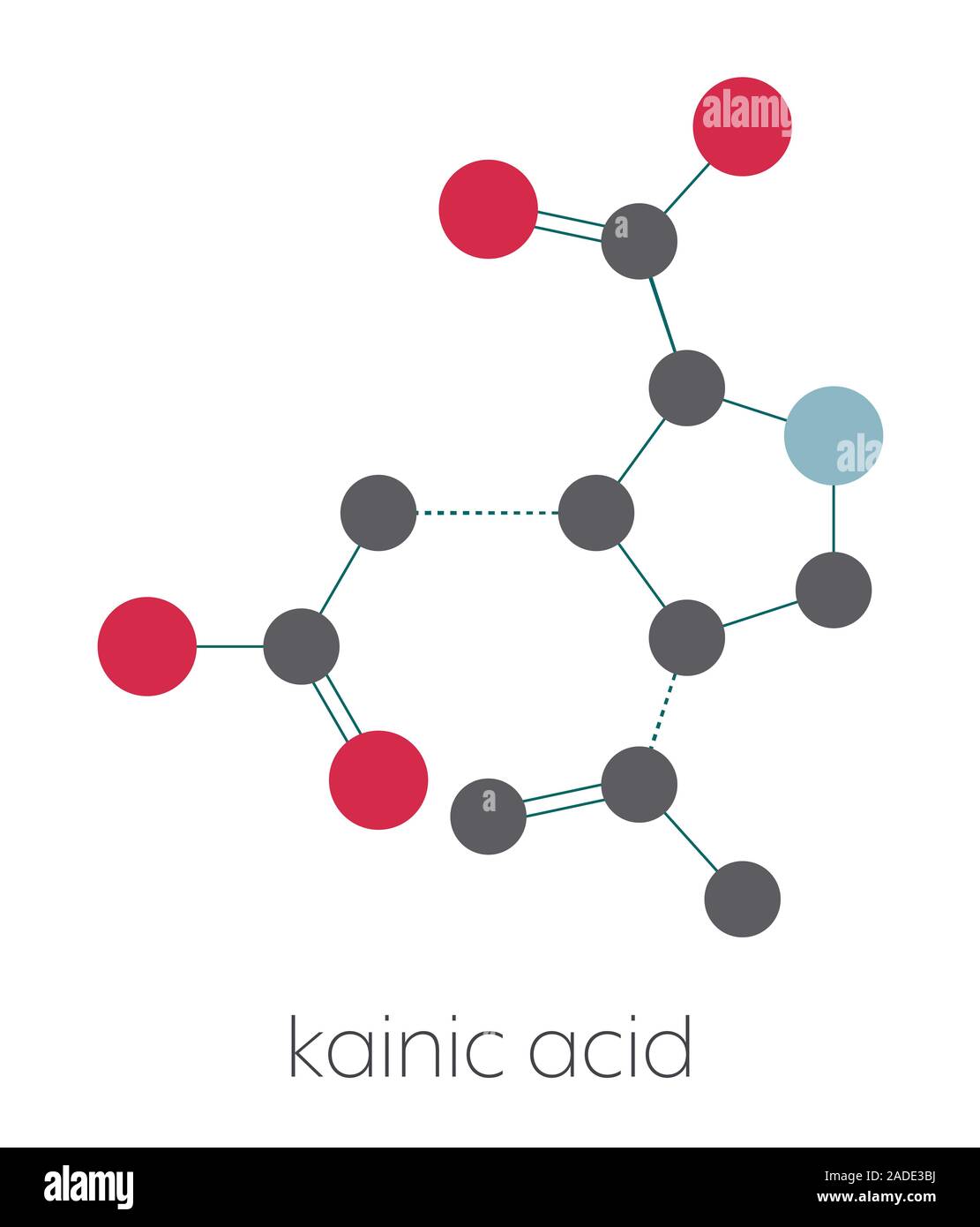 Kainic acid molecule. Direct agonist of the glutamic kainate receptors ...