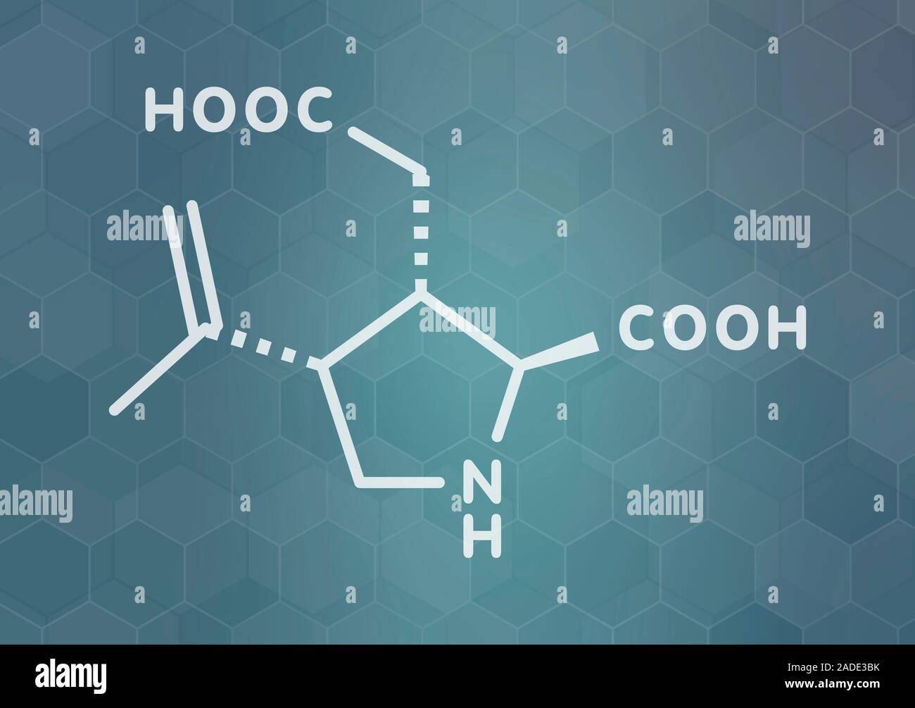 Kainic acid molecule. Direct agonist of the glutamic kainate receptors ...