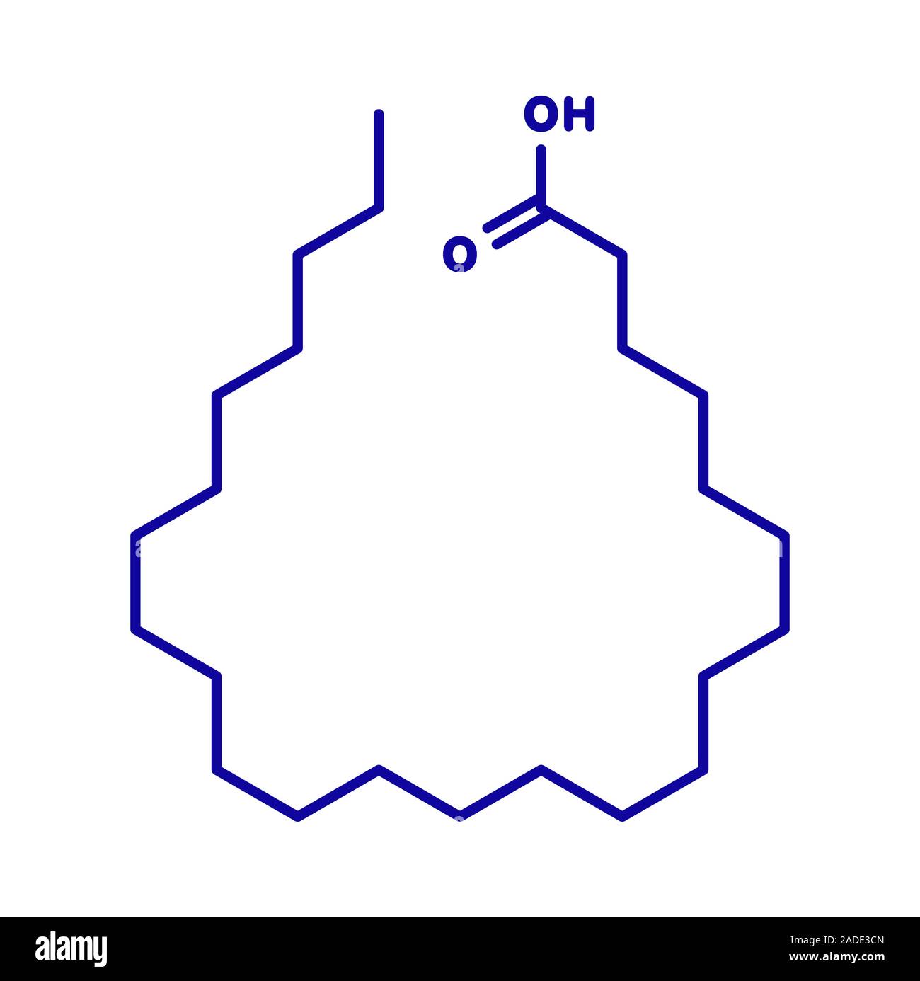 Lignoceric (tetracosanoic) acid molecule. Saturated fatty acid. Blue ...