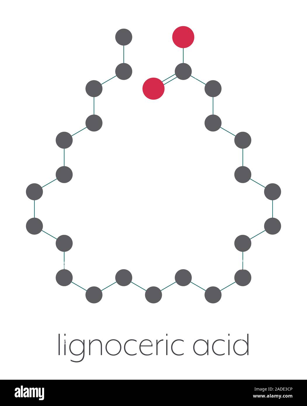 Lignoceric (tetracosanoic) acid molecule. Saturated fatty acid ...