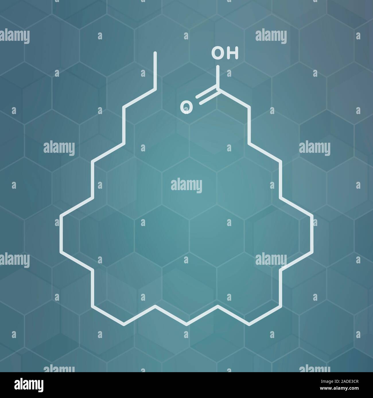 Lignoceric (tetracosanoic) acid molecule. Saturated fatty acid. White ...