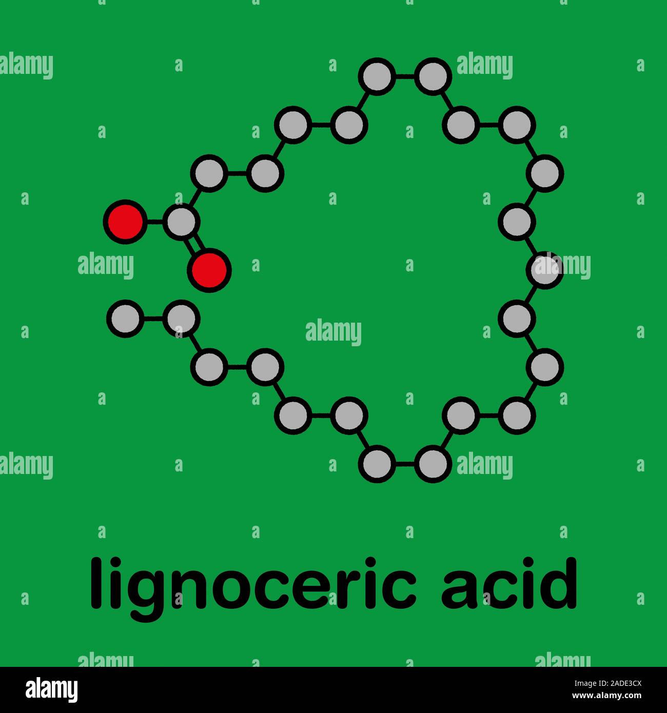 Lignoceric (tetracosanoic) acid molecule. Saturated fatty acid ...