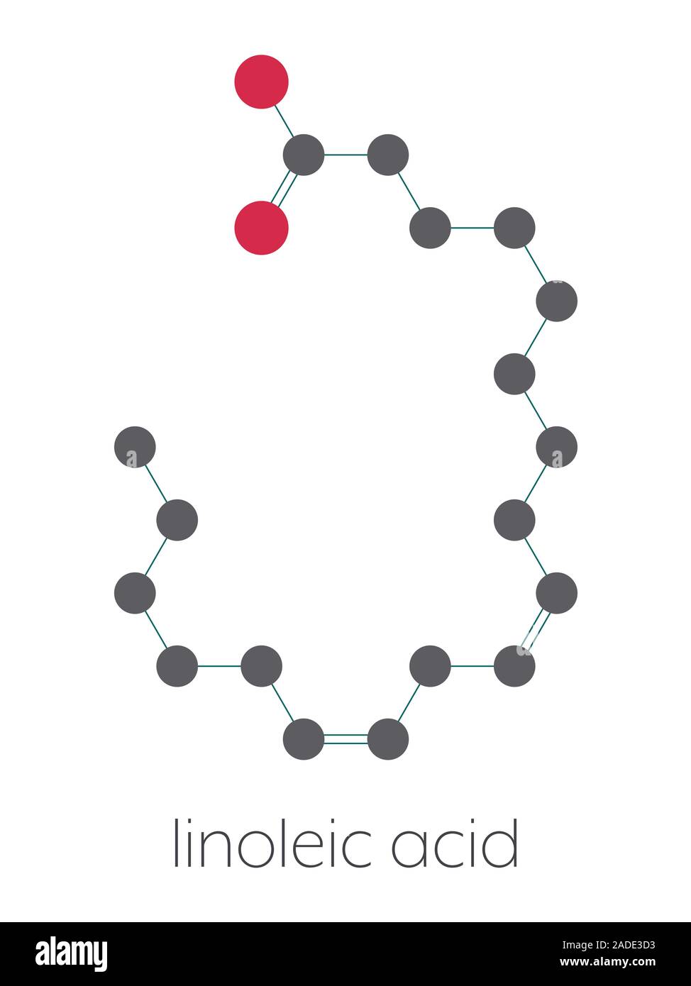 Linoleic acid (LA) molecule. Omega-6 polyunsaturated fatty acid ...