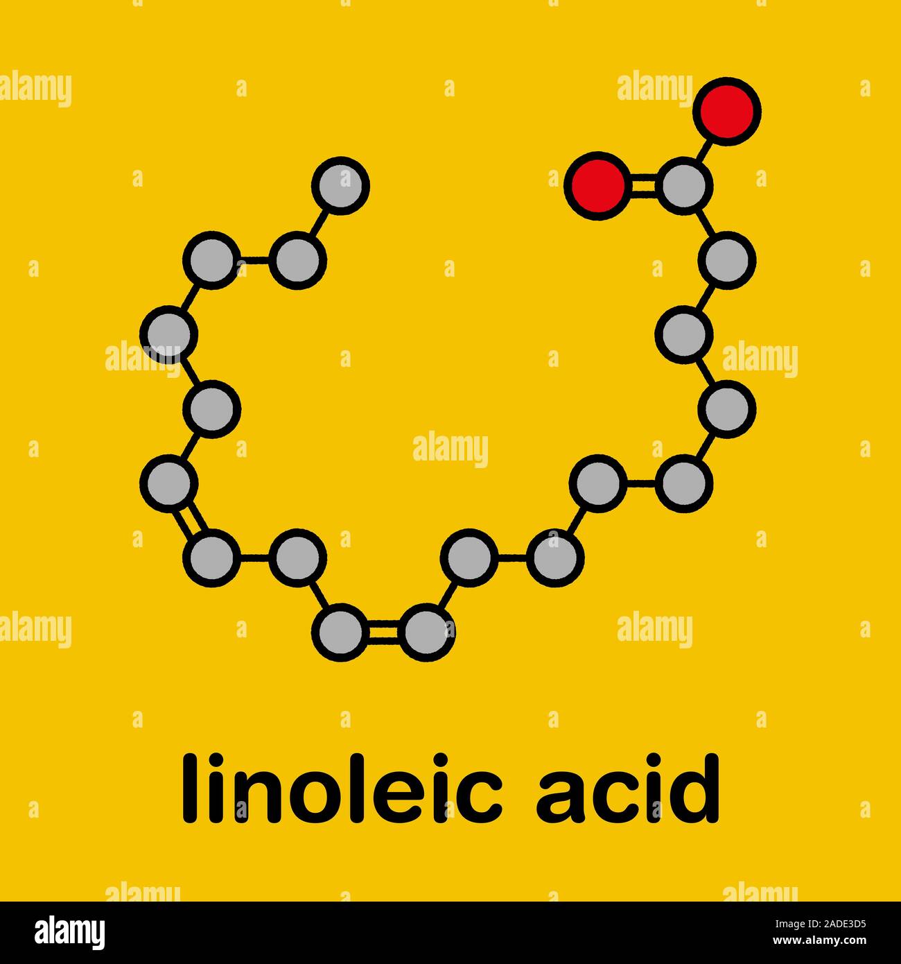 Linoleic acid (LA) molecule. Omega-6 polyunsaturated fatty acid ...