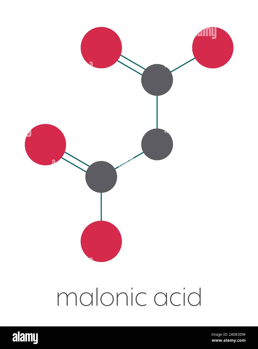 Malonic acid organic dicarboxylic acid molecule. Stylized skeletal ... Malonic acid organic dicarboxylic acid molecule. Stylized skeletal ...