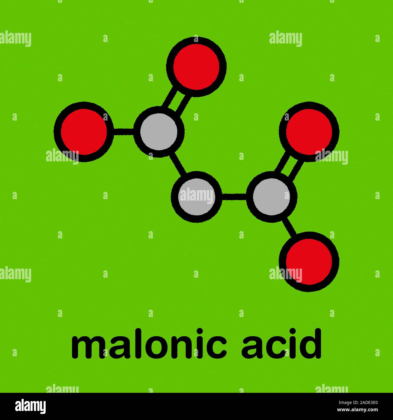 Malonic acid organic dicarboxylic acid molecule. Stylized skeletal ...