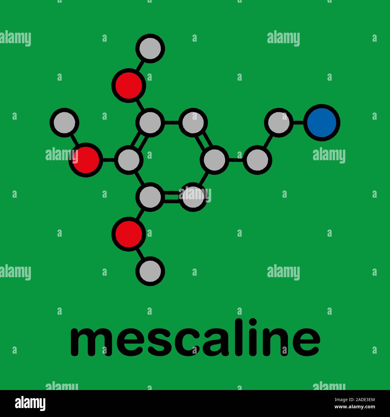 Mescaline peyote cactus psychedelic molecule. Stylized skeletal formula (chemical structure ...