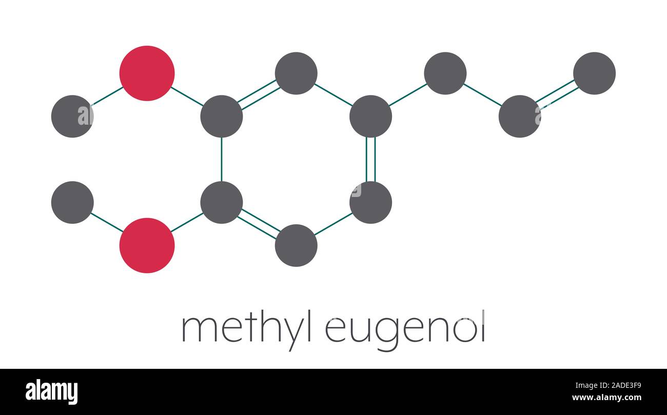 Methyl eugenol molecule. Stylized skeletal formula (chemical structure ...