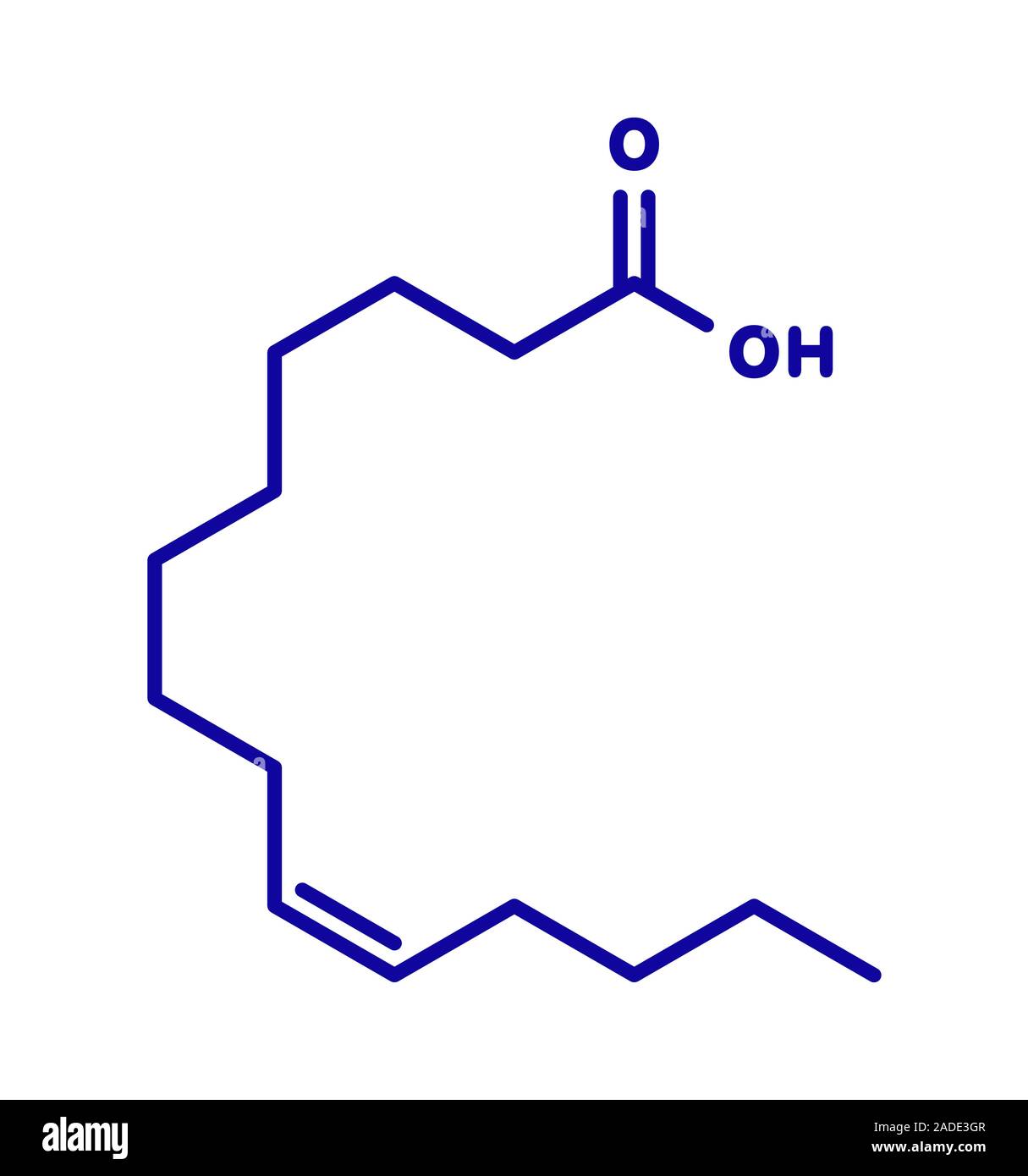 Myristoleic acid (omega-5) fatty acid molecule. Blue skeletal formula ...