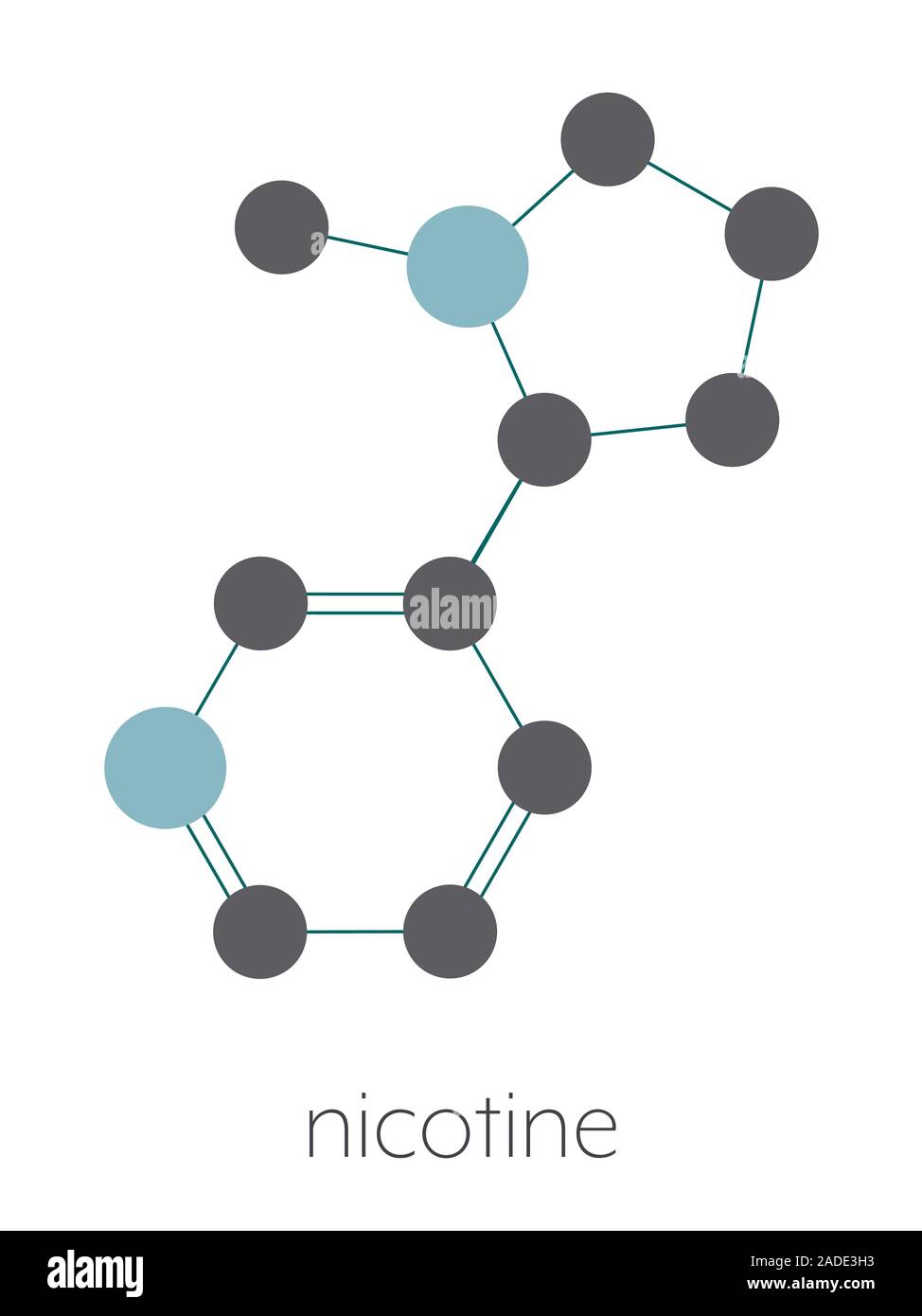 Nicotine tobacco stimulant molecule. Main addictive component in ...
