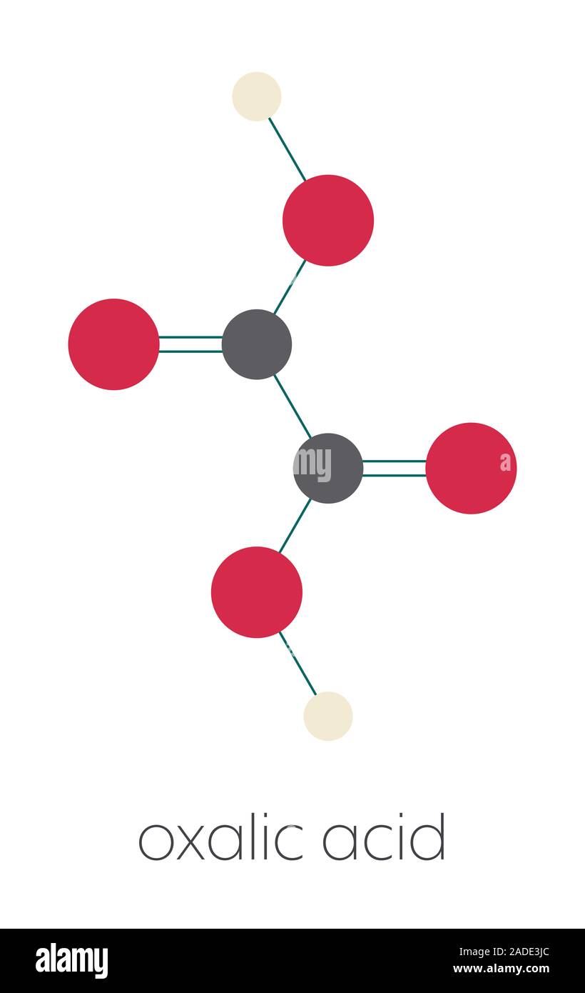 Oxalic acid molecule. Stylized skeletal formula (chemical structure ...