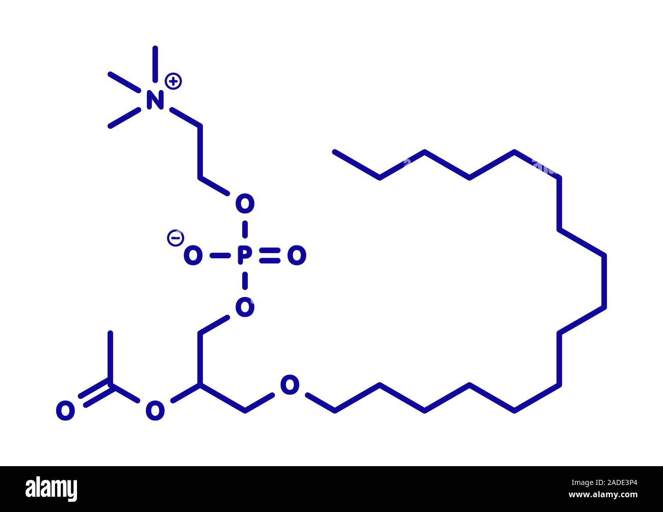 Platelet Activating Factor (PAF) signaling molecule. Blue skeletal ...
