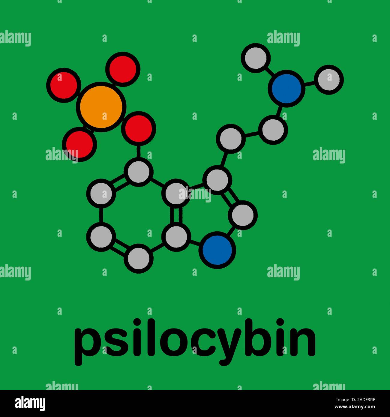 Psilocybin psychedelic mushroom molecule. Prodrug of psilocin. Stylized ...