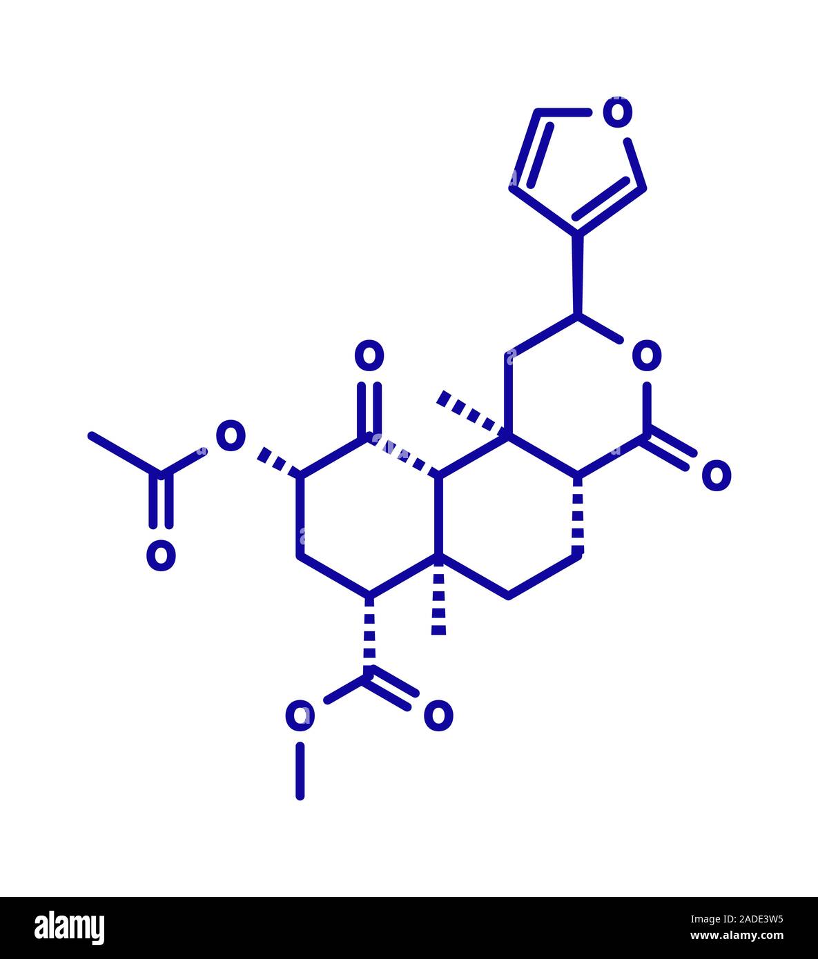 Salvinorin A entheogen molecule. Psychotropic molecule from Salvia ...