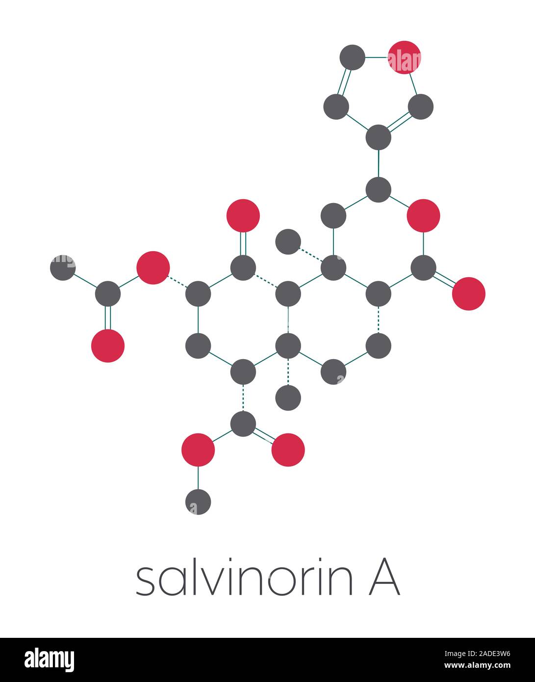 Salvinorin A entheogen molecule. Psychotropic molecule from Salvia ...