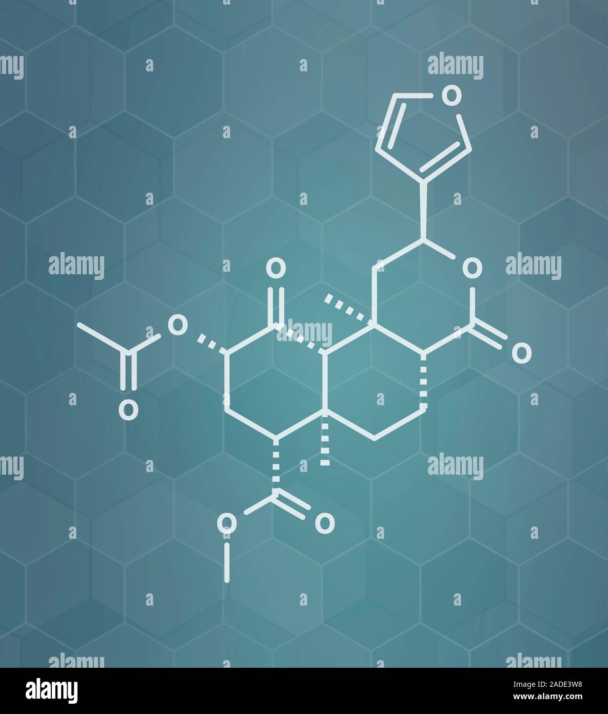 Salvinorin A entheogen molecule. Psychotropic molecule from Salvia ...