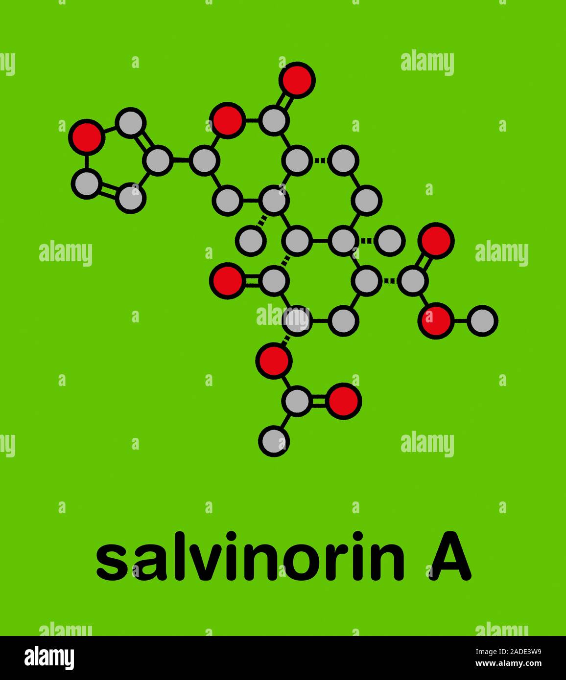Salvinorin A entheogen molecule. Psychotropic molecule from Salvia ...