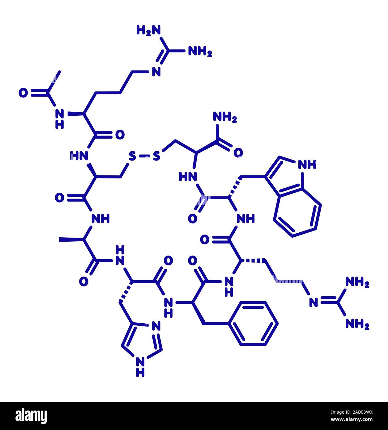 Setmelanotide drug molecule (MC4 receptor agonist). Blue skeletal ...
