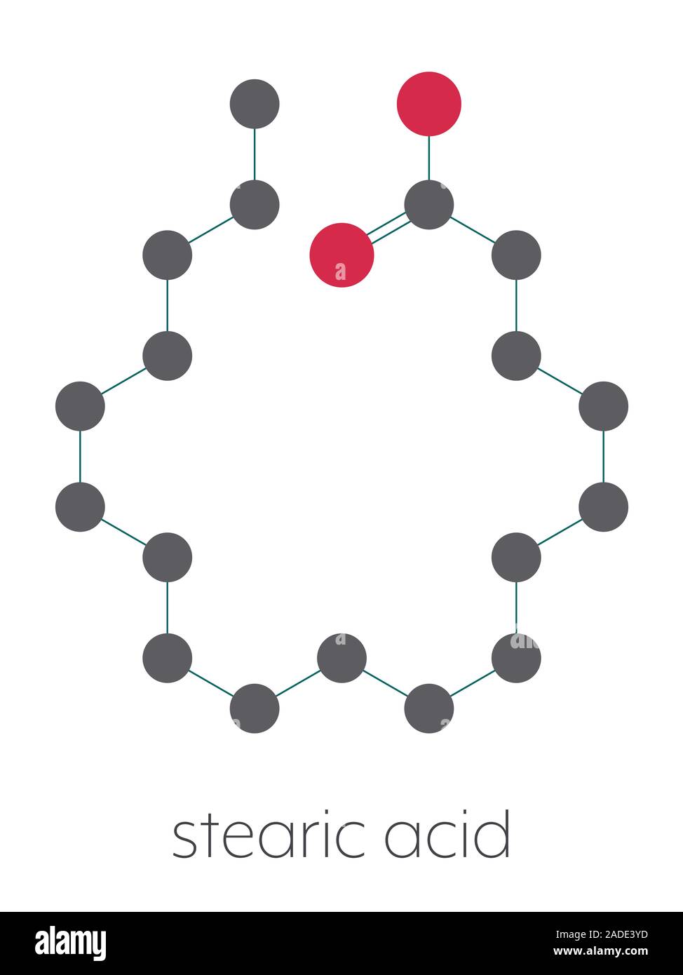Stearic acid saturated fatty acid molecule. Also known as octadecanoic ...