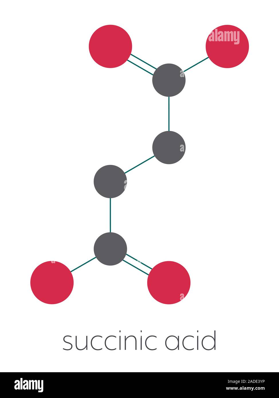 Succinic acid (butanedioic acid, spirit of amber) molecule ...