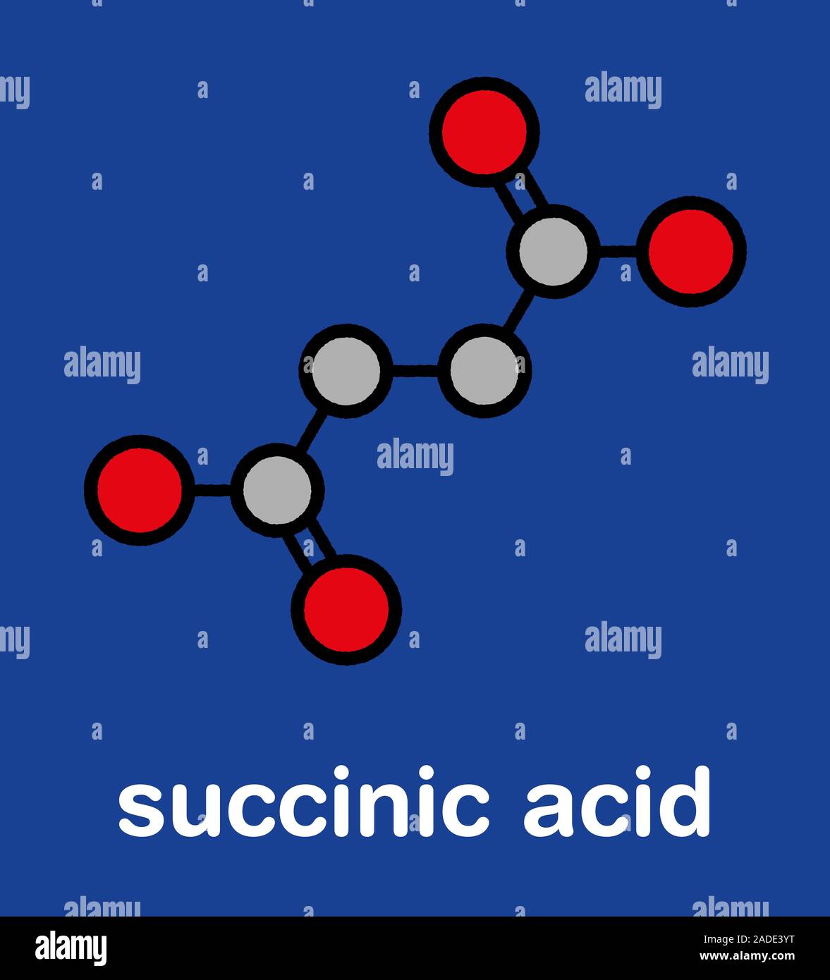 Succinic acid (butanedioic acid, spirit of amber) molecule ...