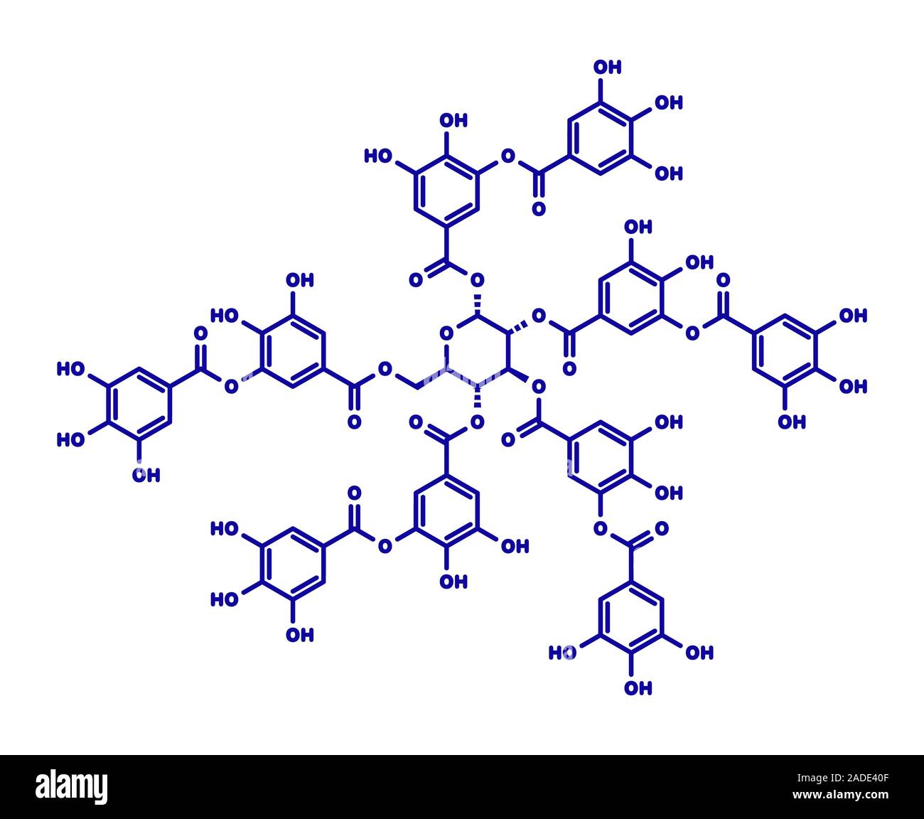 Tannic acid molecule (one isomer shown). Type of tannin. Blue skeletal ...